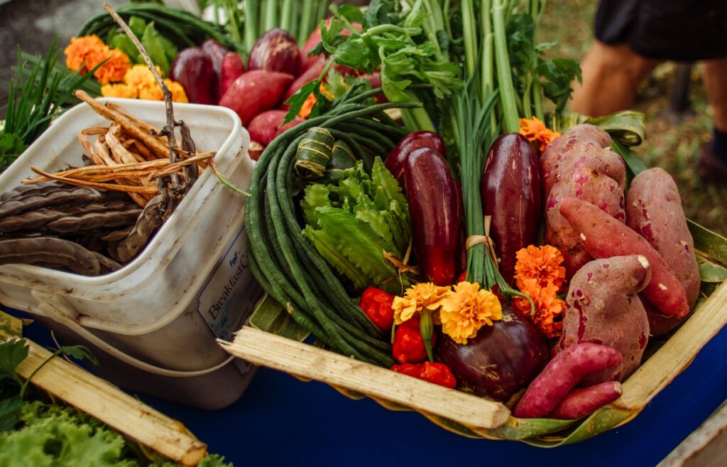 General Support - Te Marae Ora Cook Islands Ministry of Health